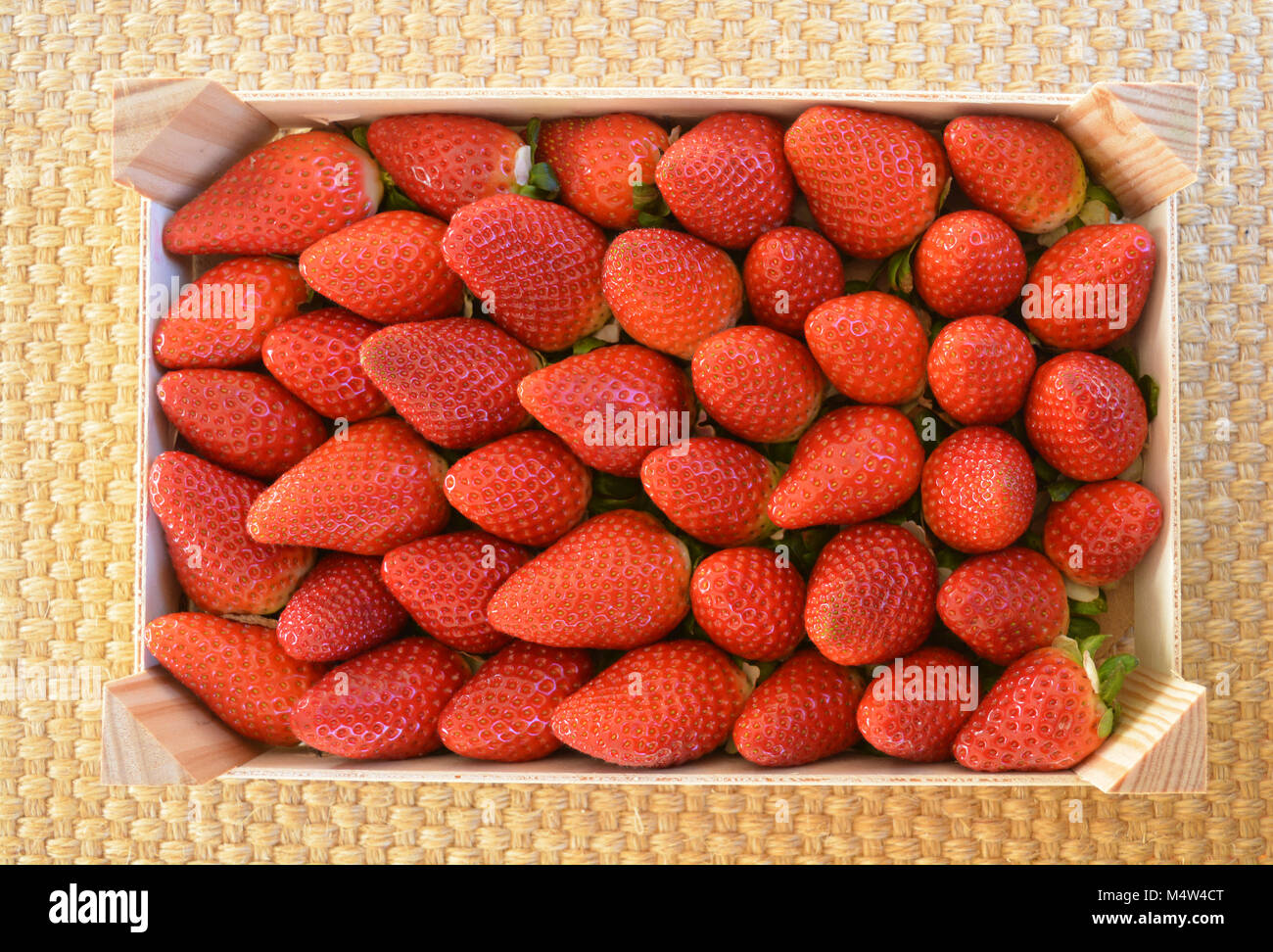 Box full of ripe, juicy, red strawberries Stock Photo - Alamy