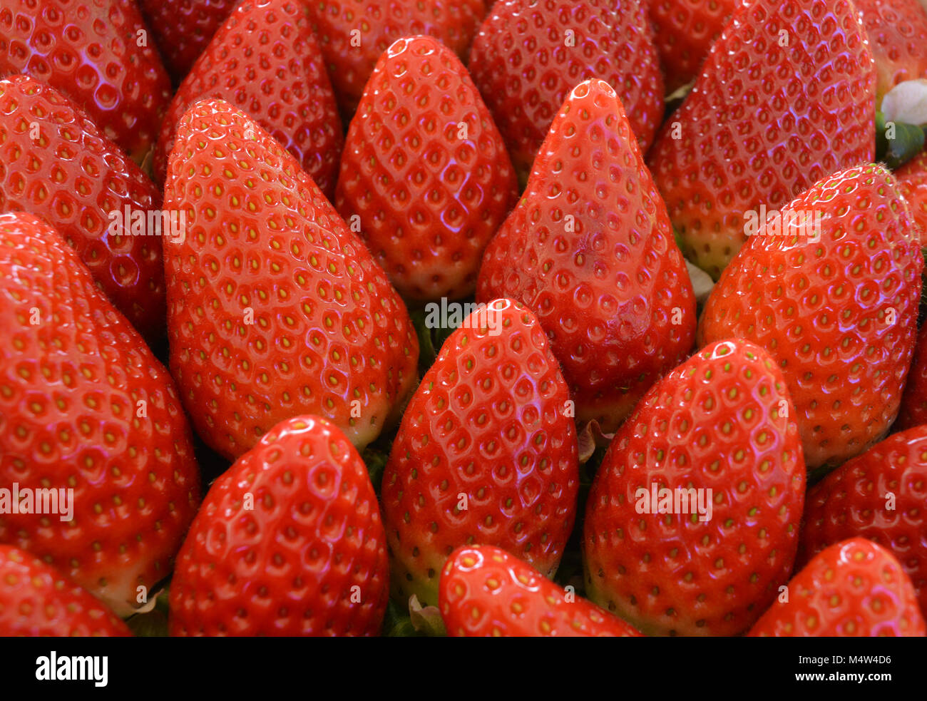 Red fresh strawberries hi-res stock photography and images - Alamy