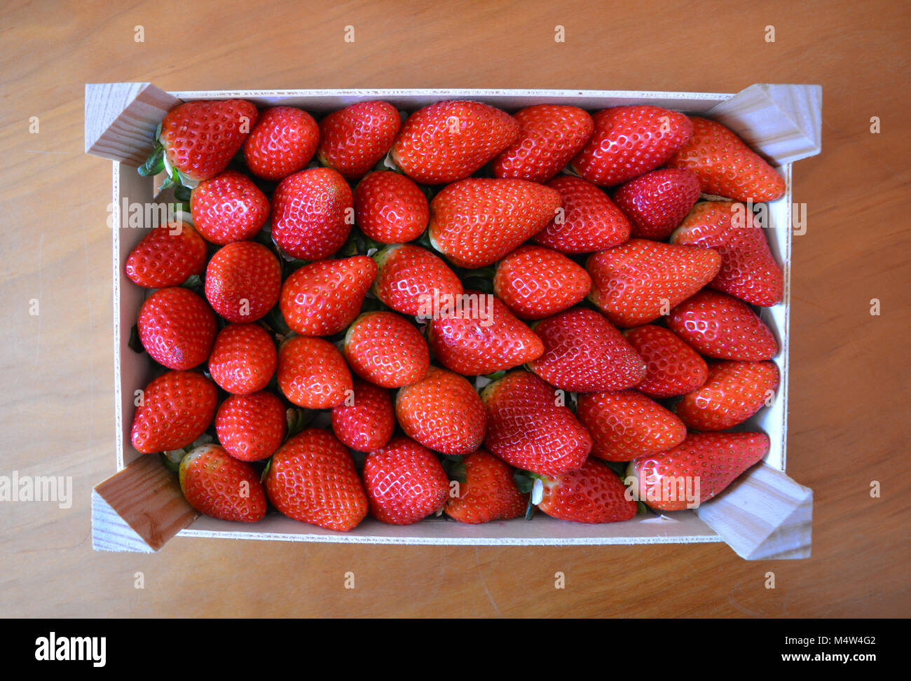 Full body high angle hi-res stock photography and images - Alamy