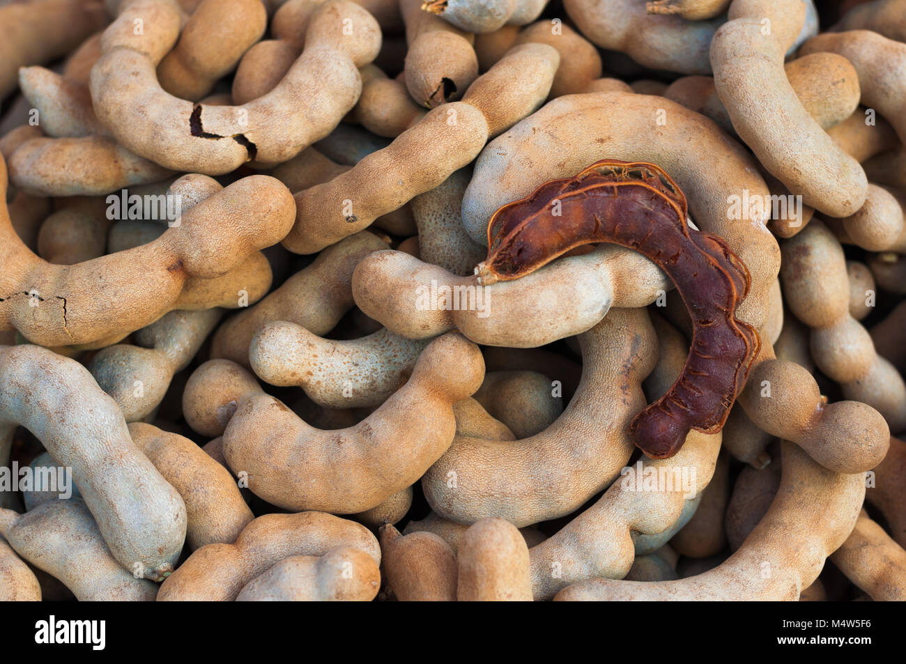 Tammarinds hi-res stock photography and images - Alamy