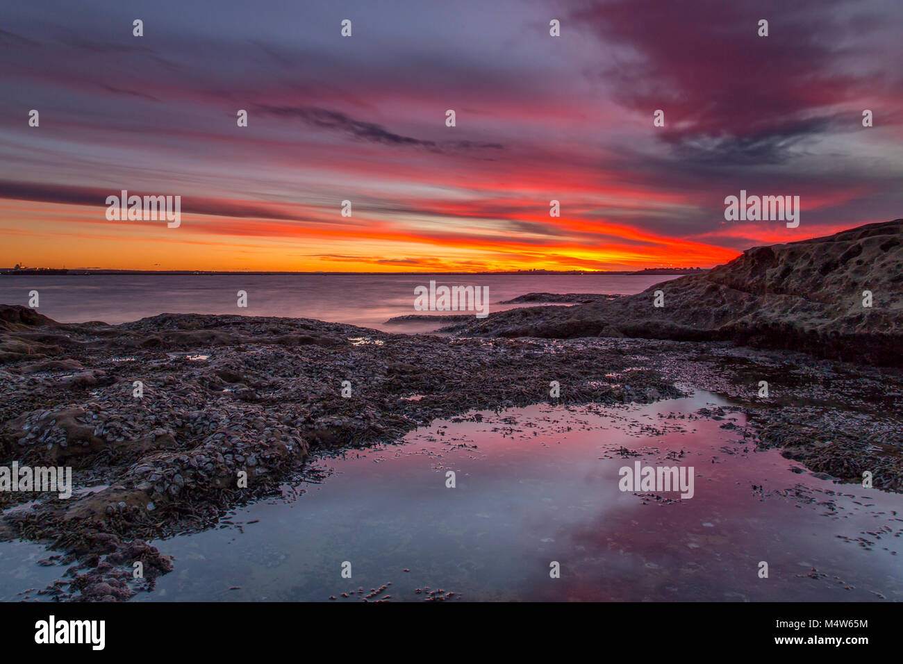 Beauty of sydney hi-res stock photography and images - Alamy