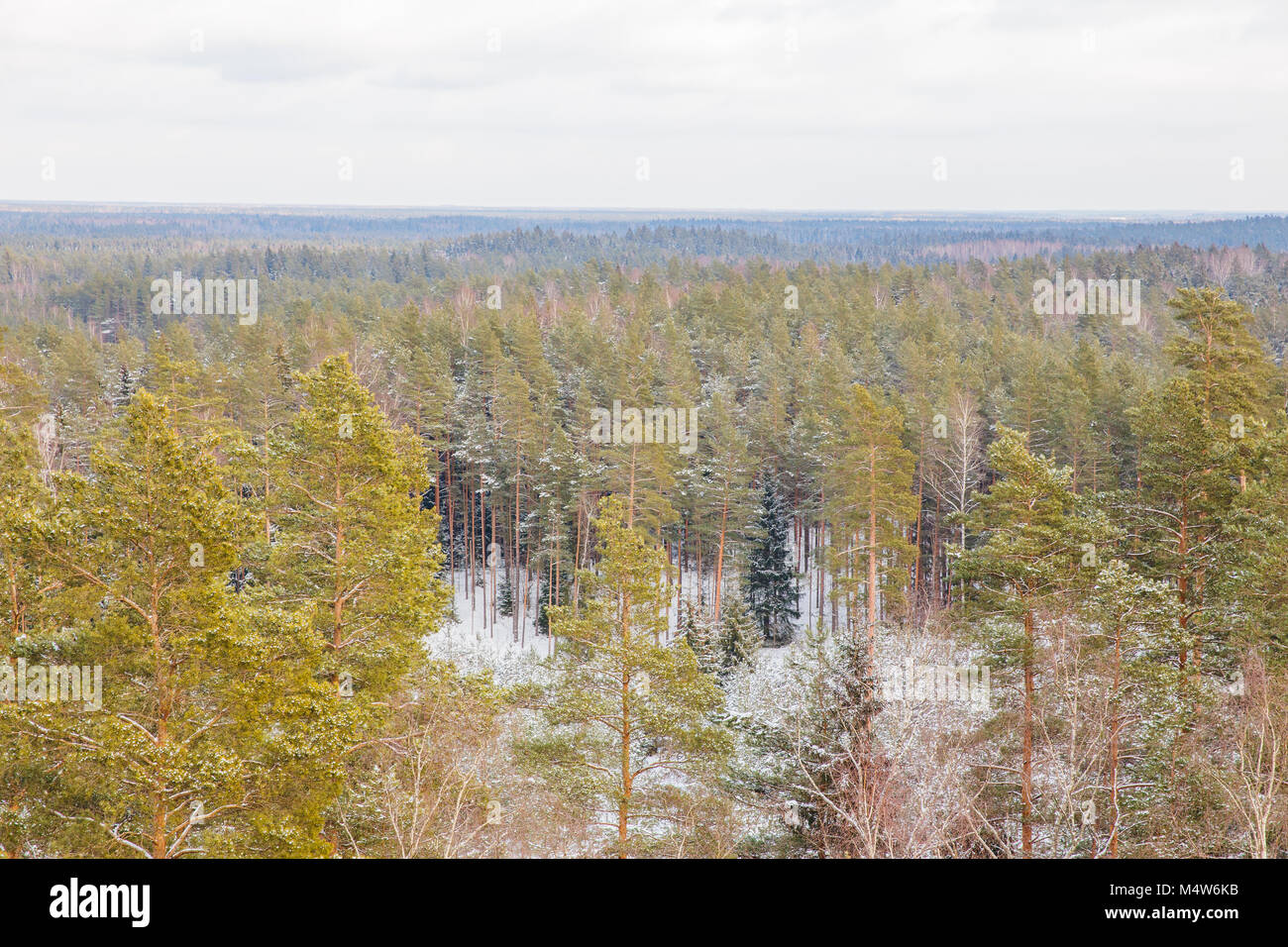 City Ogre, Latvia. Peoples and old sand quarry at city Ogre. Snow and ...