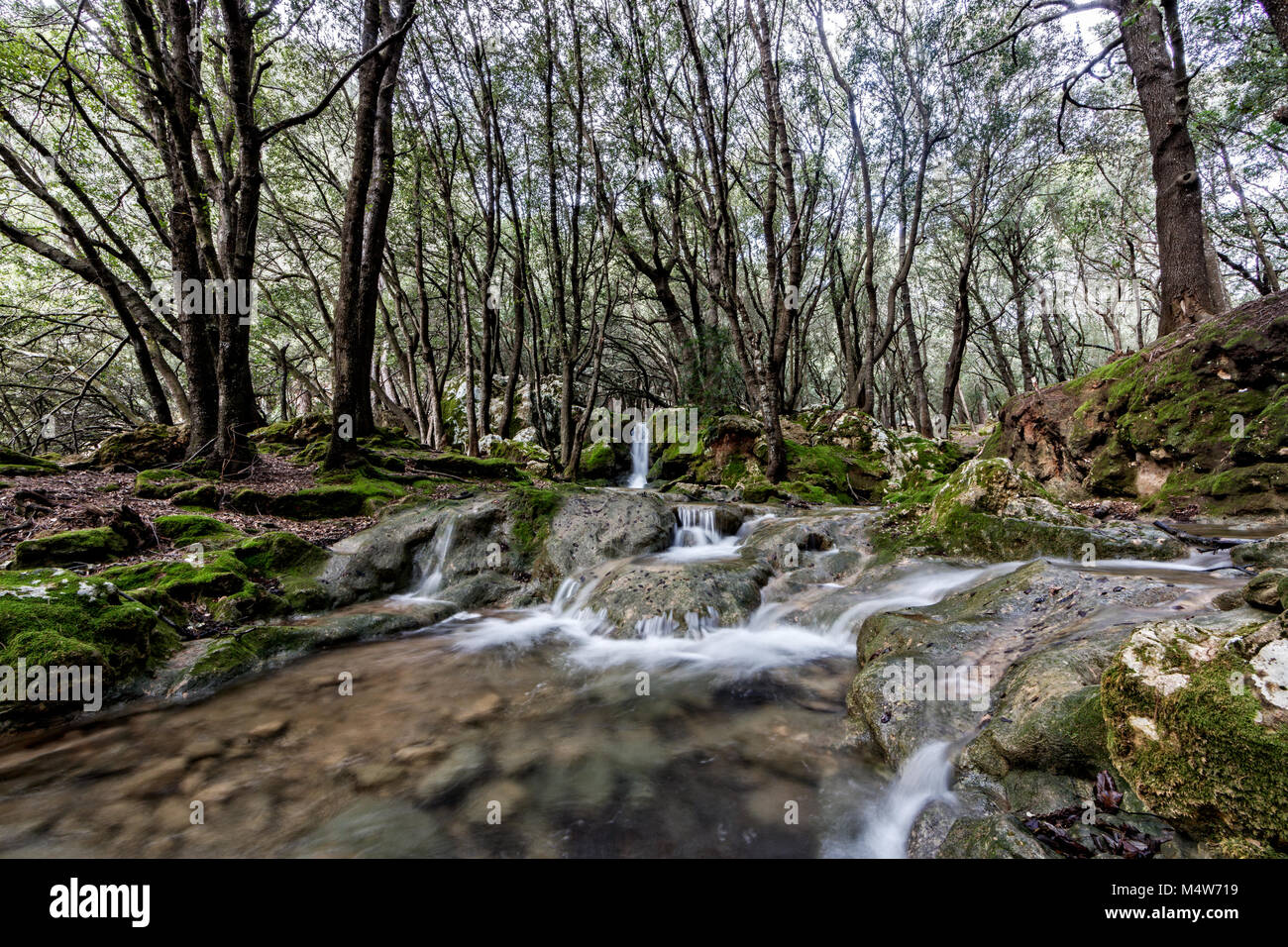 Natural area of "Salt des Freus", Orient,Mallorca Stock Photo - Alamy