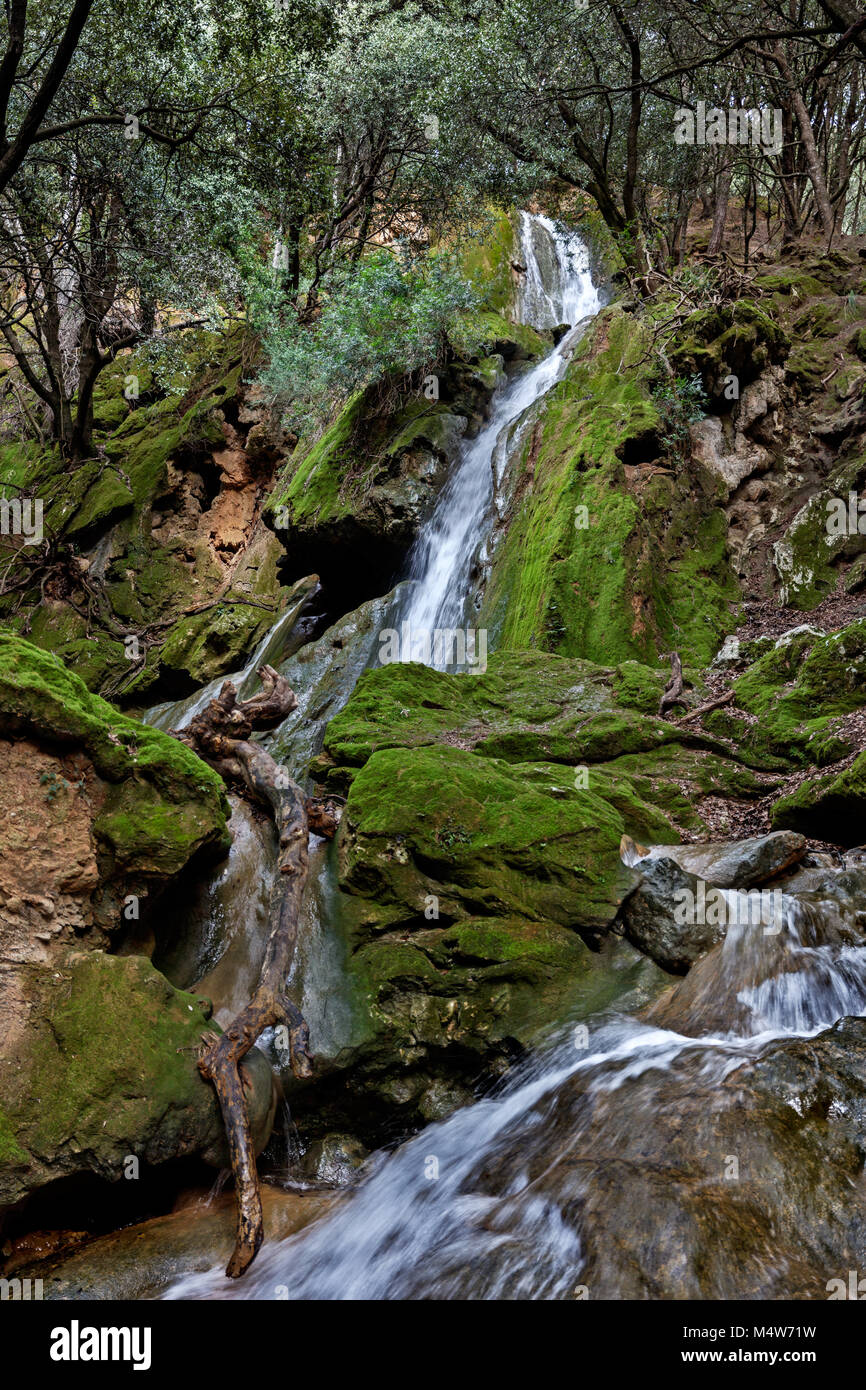 Natural area of "Salt des Freus", Orient,Mallorca Stock Photo - Alamy