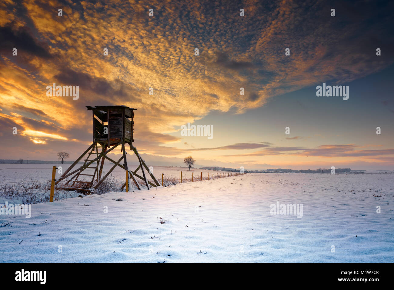 Winter landscape under the evening sunset Stock Photo - Alamy