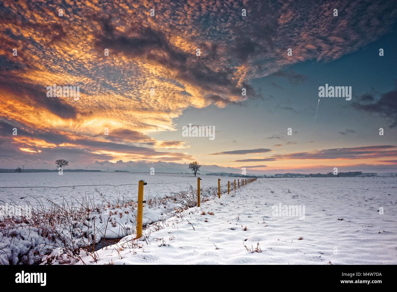 Winter landscape under the evening sunset Stock Photo - Alamy