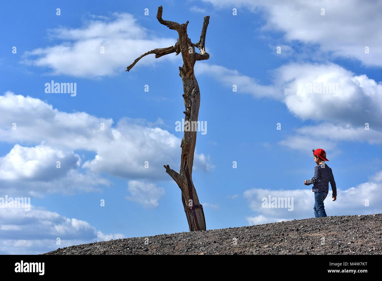 Walking the dead hi-res stock photography and images - Alamy