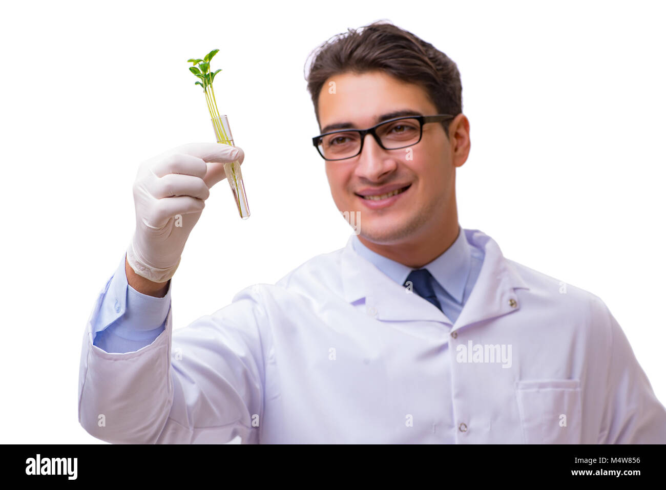 Scientist with green seedling in glass isolated on white Stock Photo ...