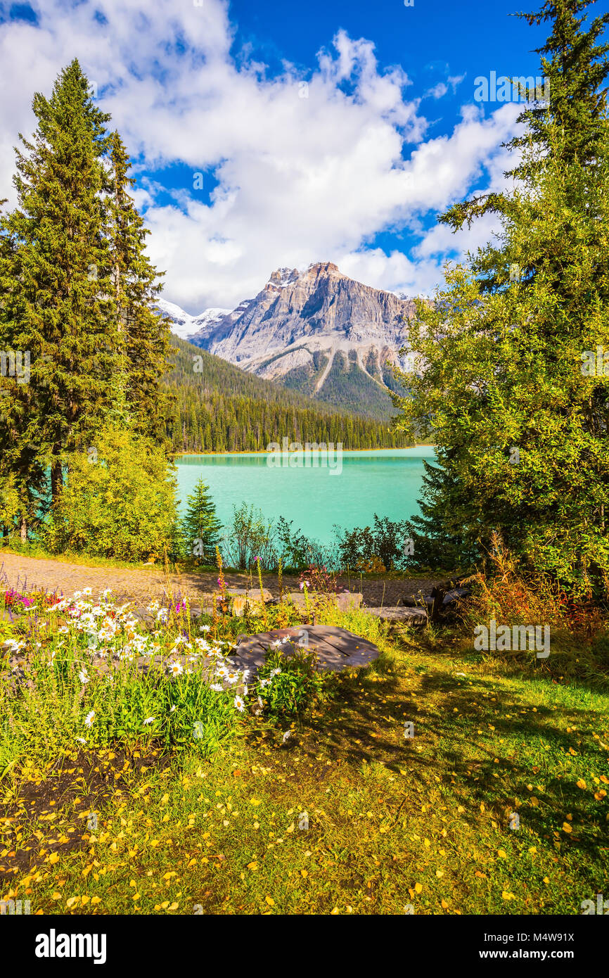 Cool environment hi-res stock photography and images - Alamy