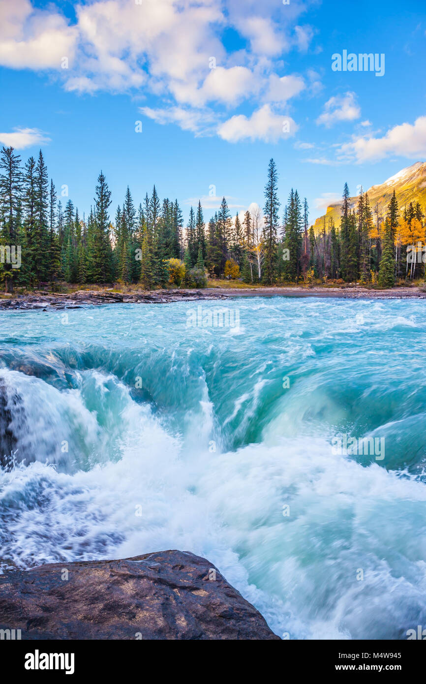 Powerful Athabasca Falls Stock Photo - Alamy