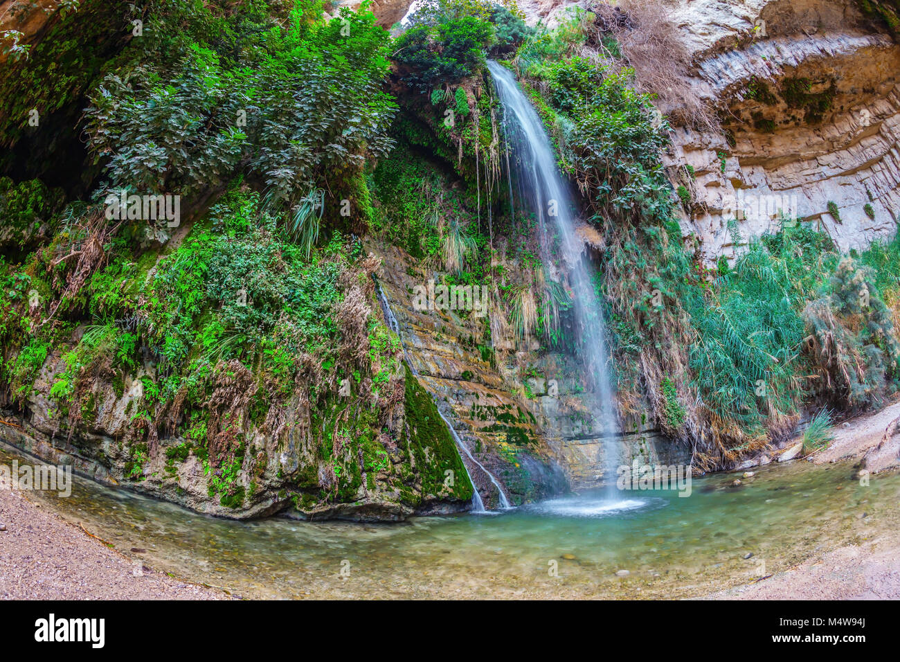 Shallow oasis hi-res stock photography and images - Alamy