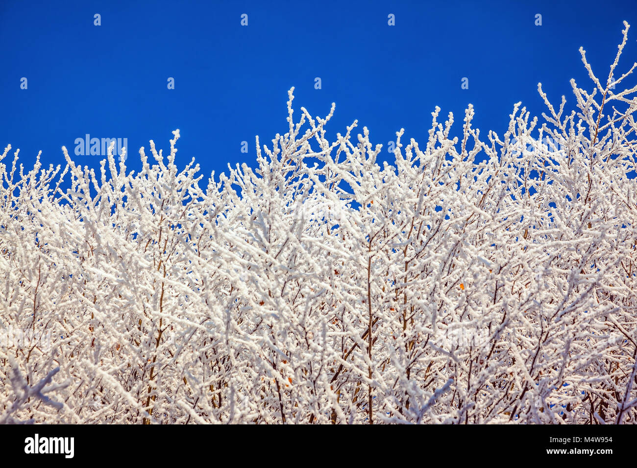 Cold bright day hi-res stock photography and images - Alamy