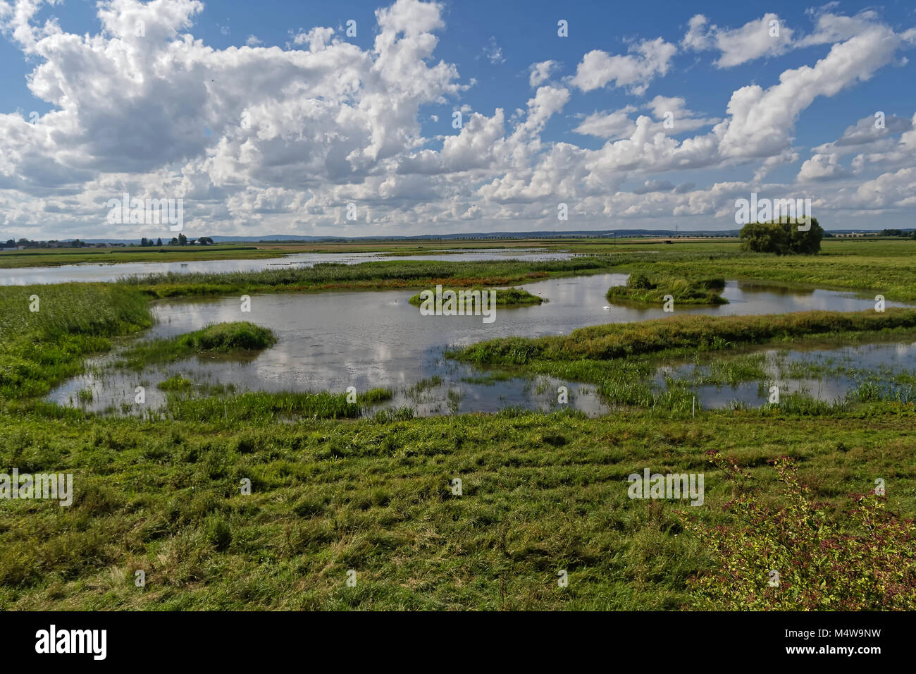Bingenheimer ried hi-res stock photography and images - Alamy