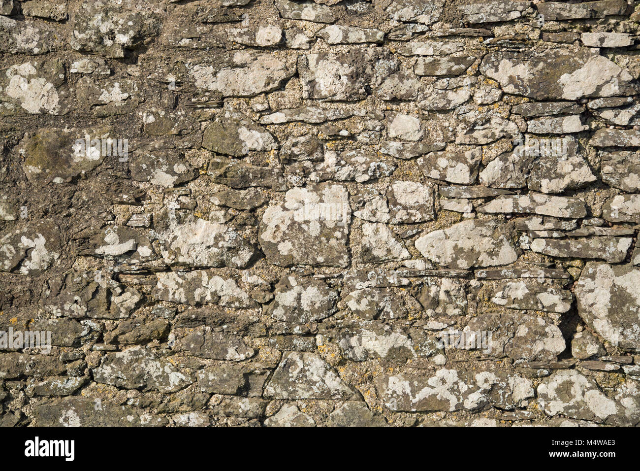 Weathered stone cracks moss hi-res stock photography and images - Alamy