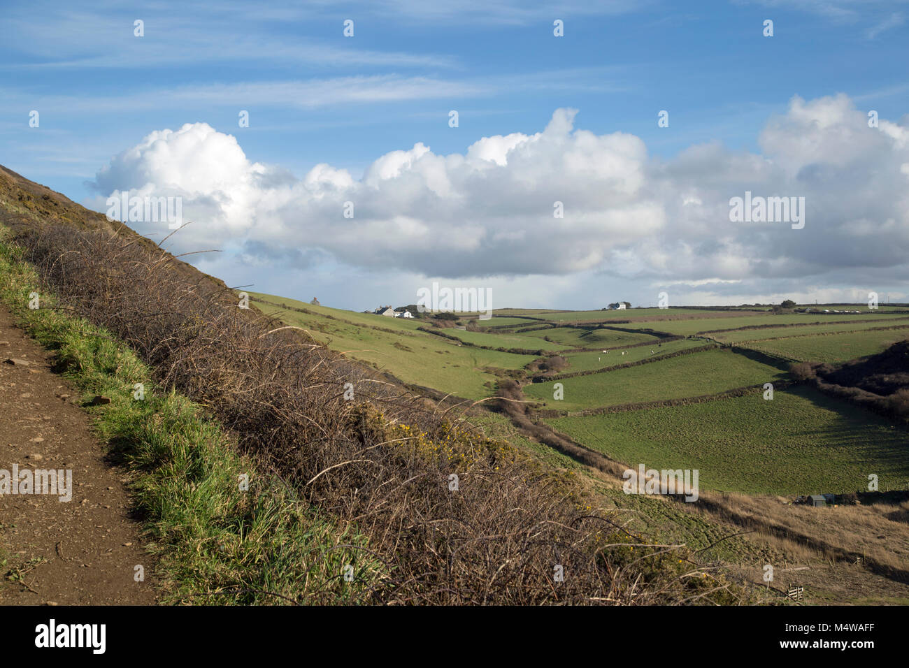 Beautiful Cornish rural landscape Stock Photo - Alamy