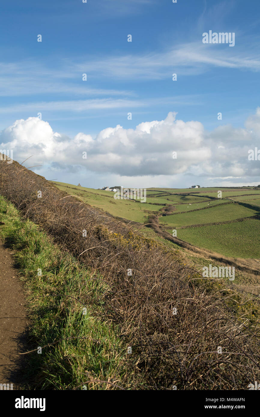 Cornish hedges hi-res stock photography and images - Alamy