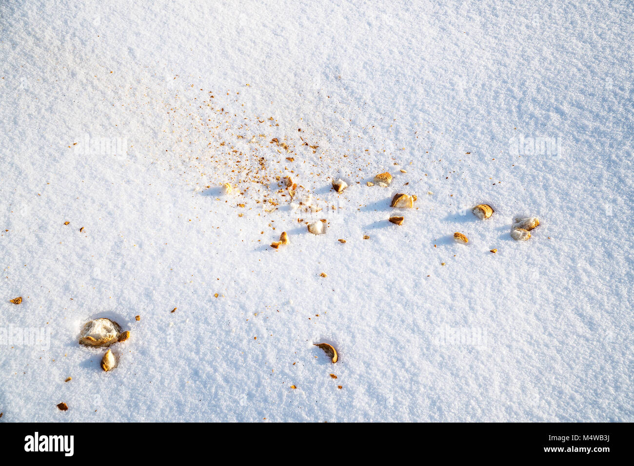 Pieces of bread and crumbs in the snow. Food for the birds Stock Photo ...