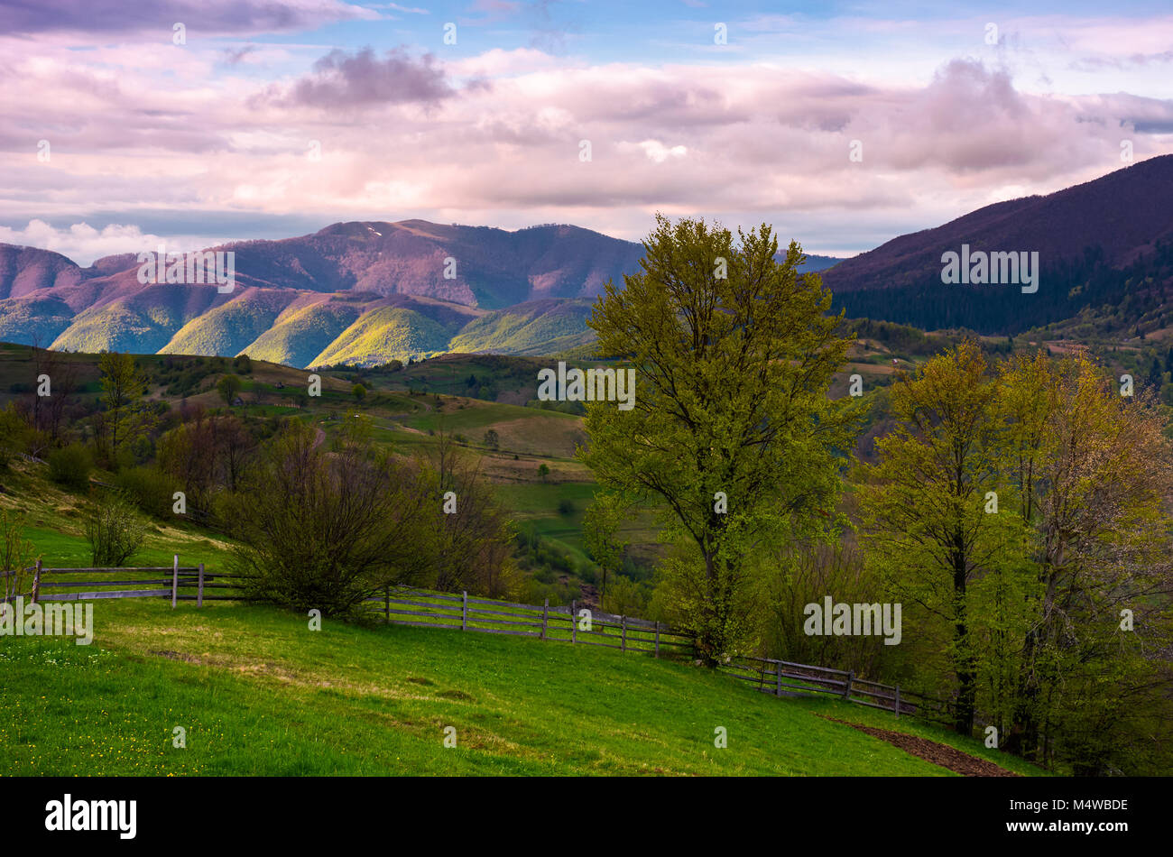 beautiful scenery in mountainous rural area. tree behind the fence on a ...