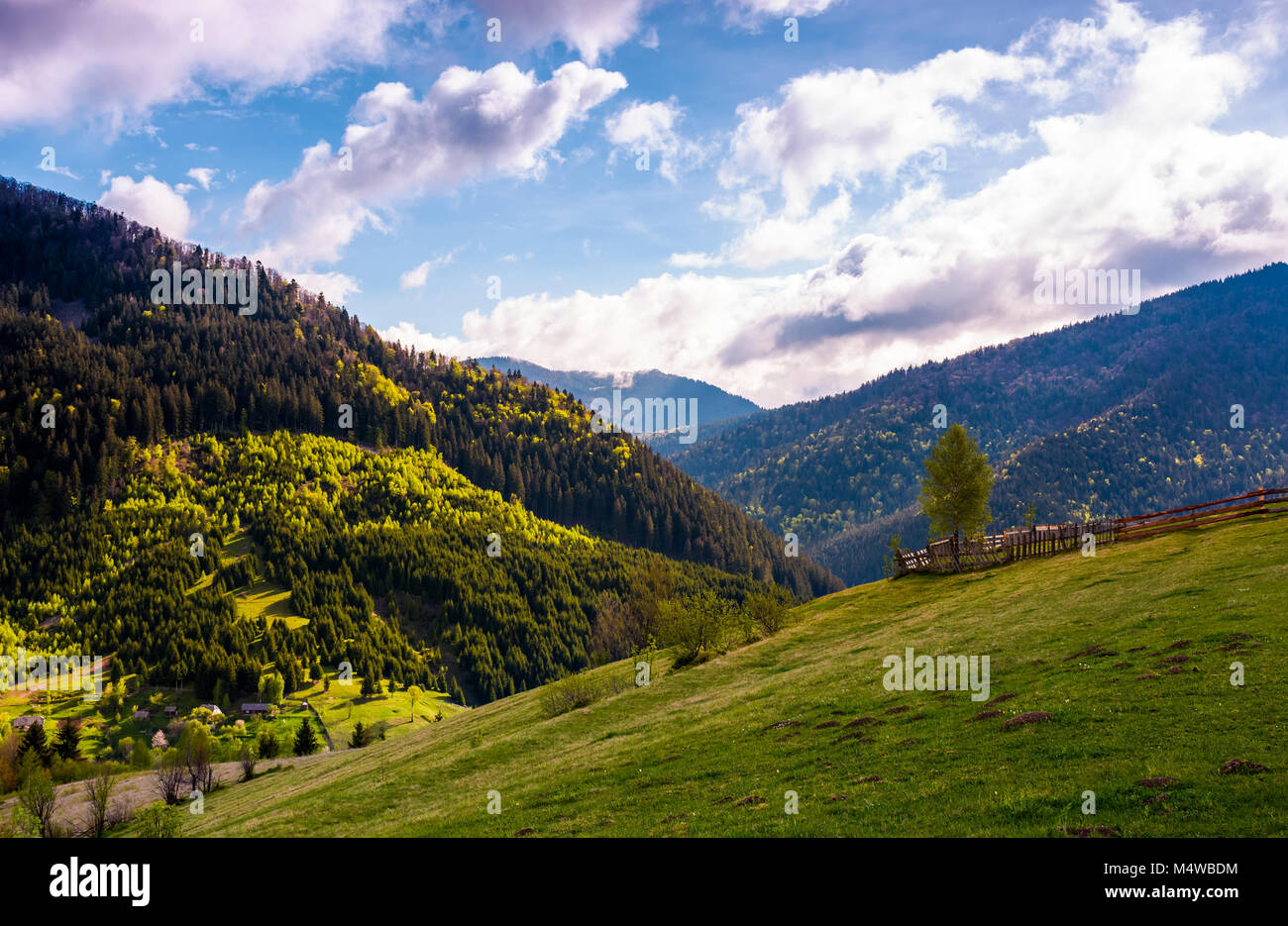 beautiful scenery in mountainous rural area. tree behind the fence on a ...
