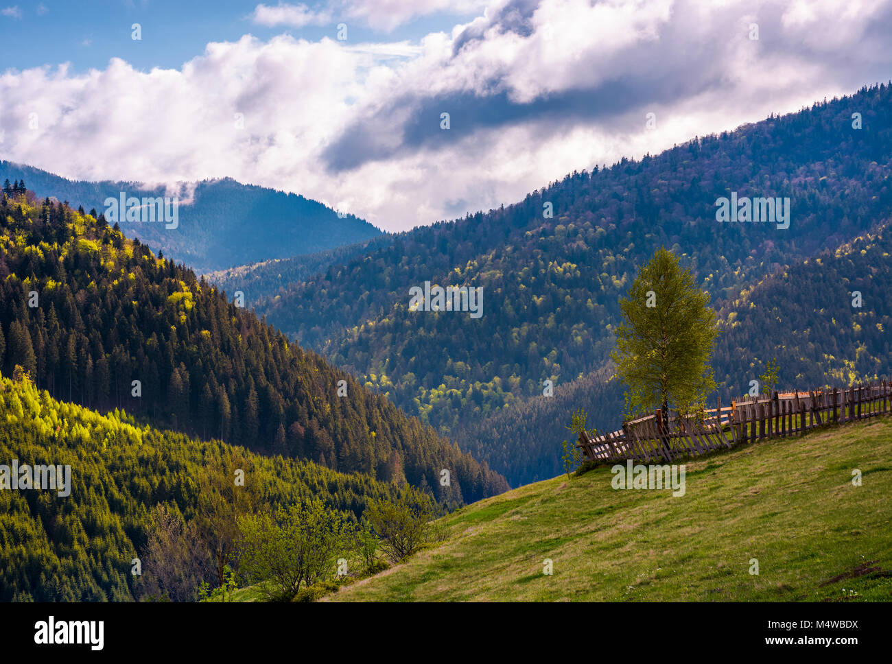 beautiful scenery in mountainous rural area. tree behind the fence on a ...