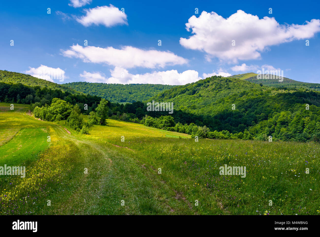 grassy rural fields on mountain slopes. country road runs uphill in to ...
