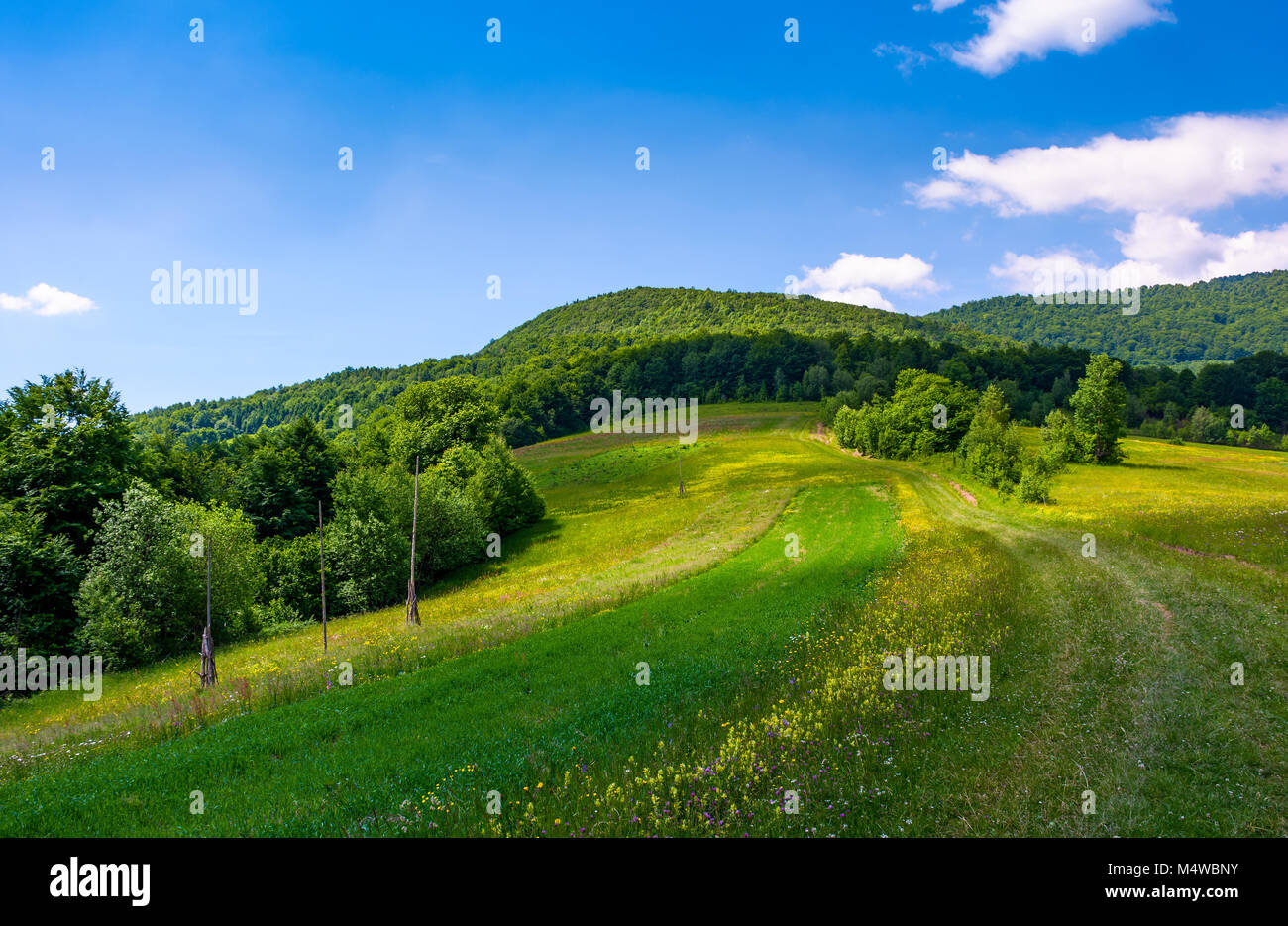 Beautiful summer mountain country hi-res stock photography and images ...