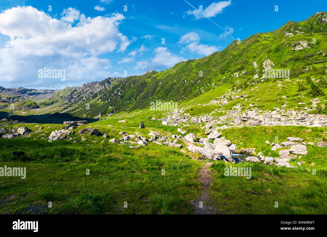 beautiful valley of Fagaras mountains. small brook flow among the rocks ...