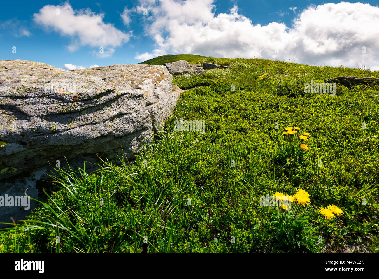 Grassy Hillside