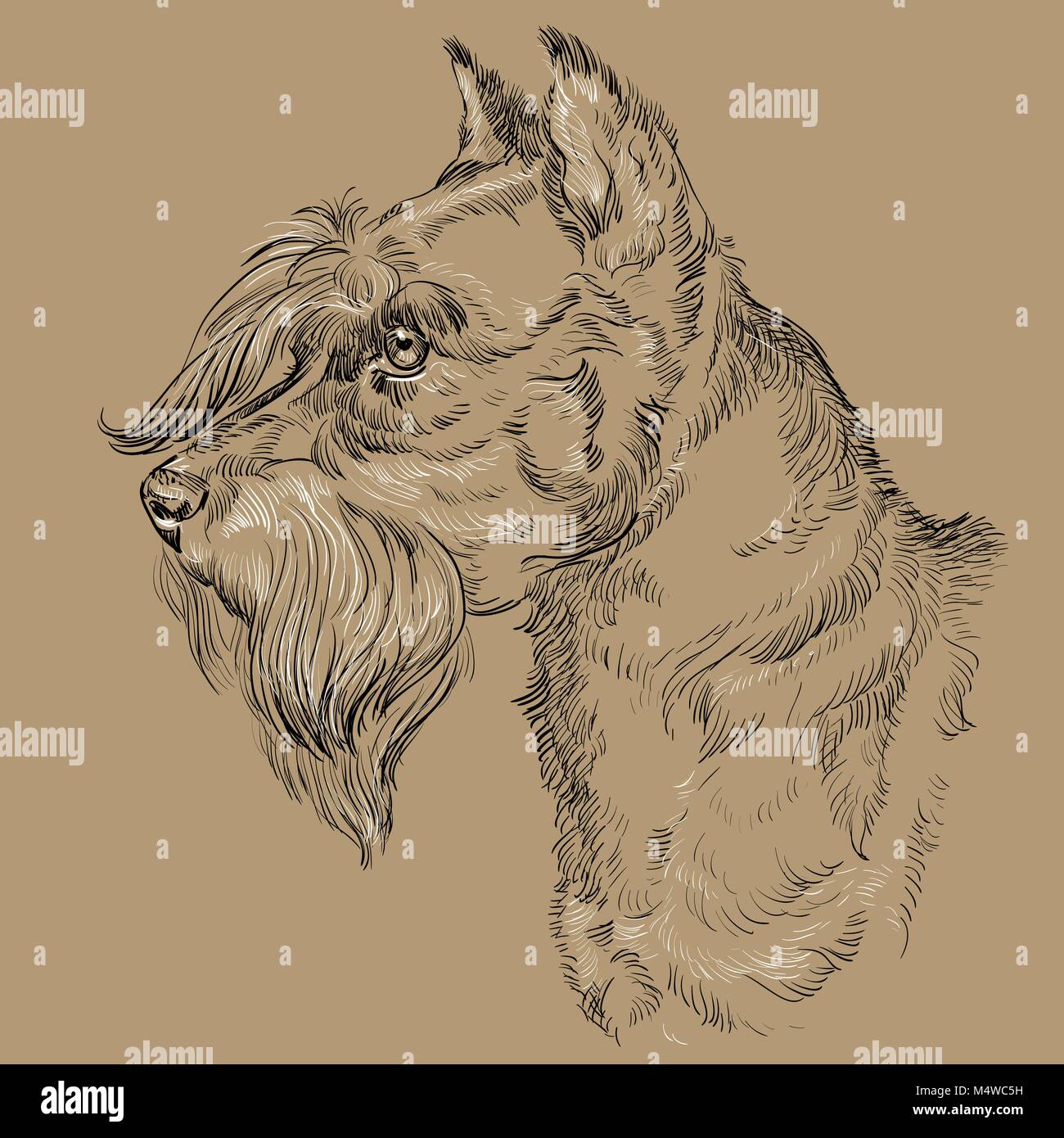 Miniature Schnauzer dog vector hand drawing black and white ...