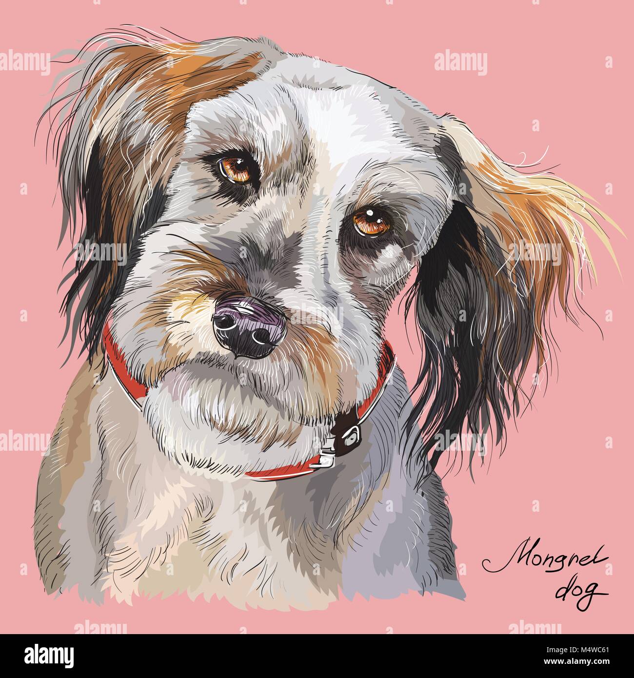 Terrier Mongrel Stock Photos & Terrier Mongrel Stock Images - Alamy