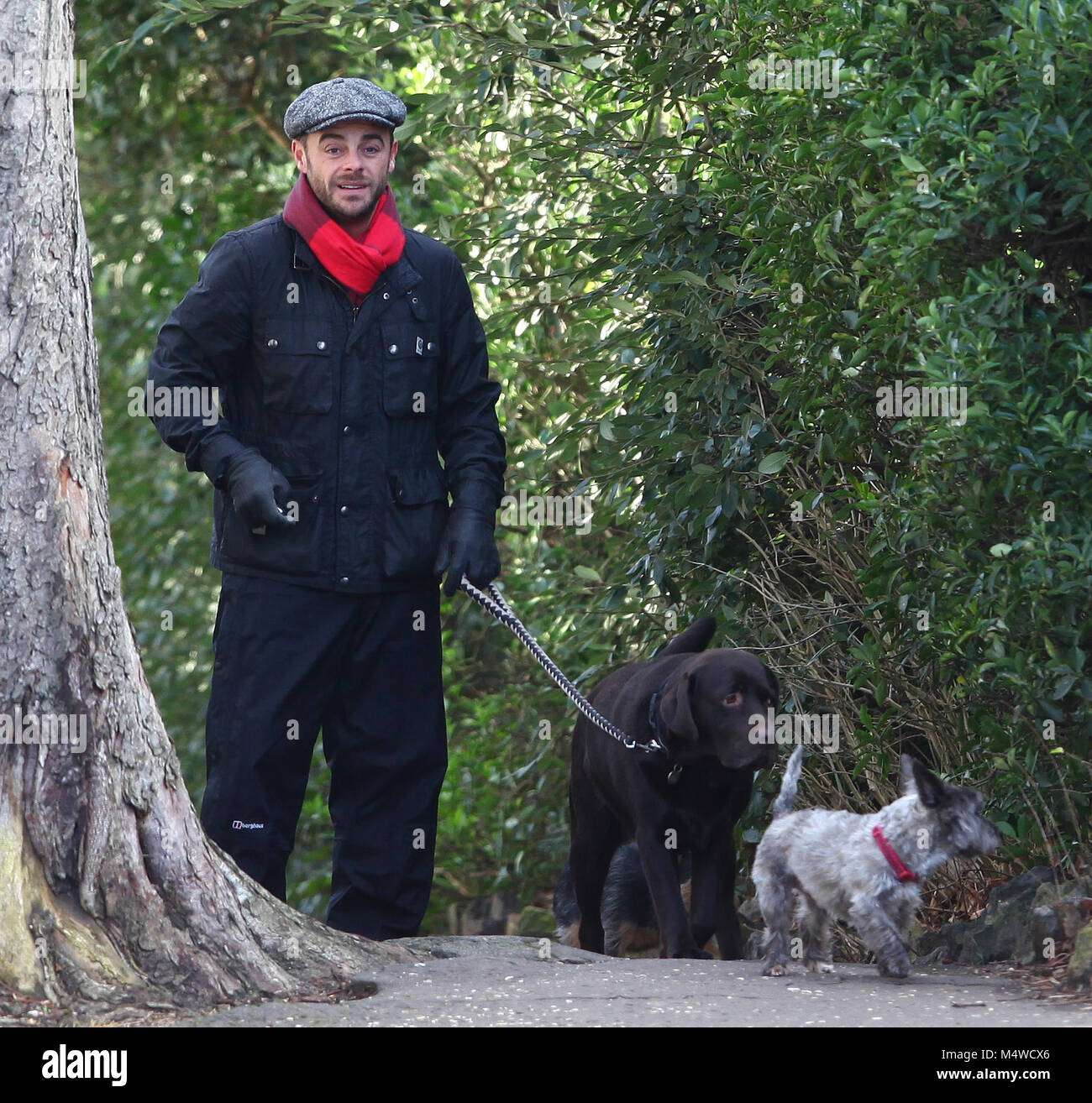 Anthony McPartlin walks his dog with his Mother in Richmond Park ...