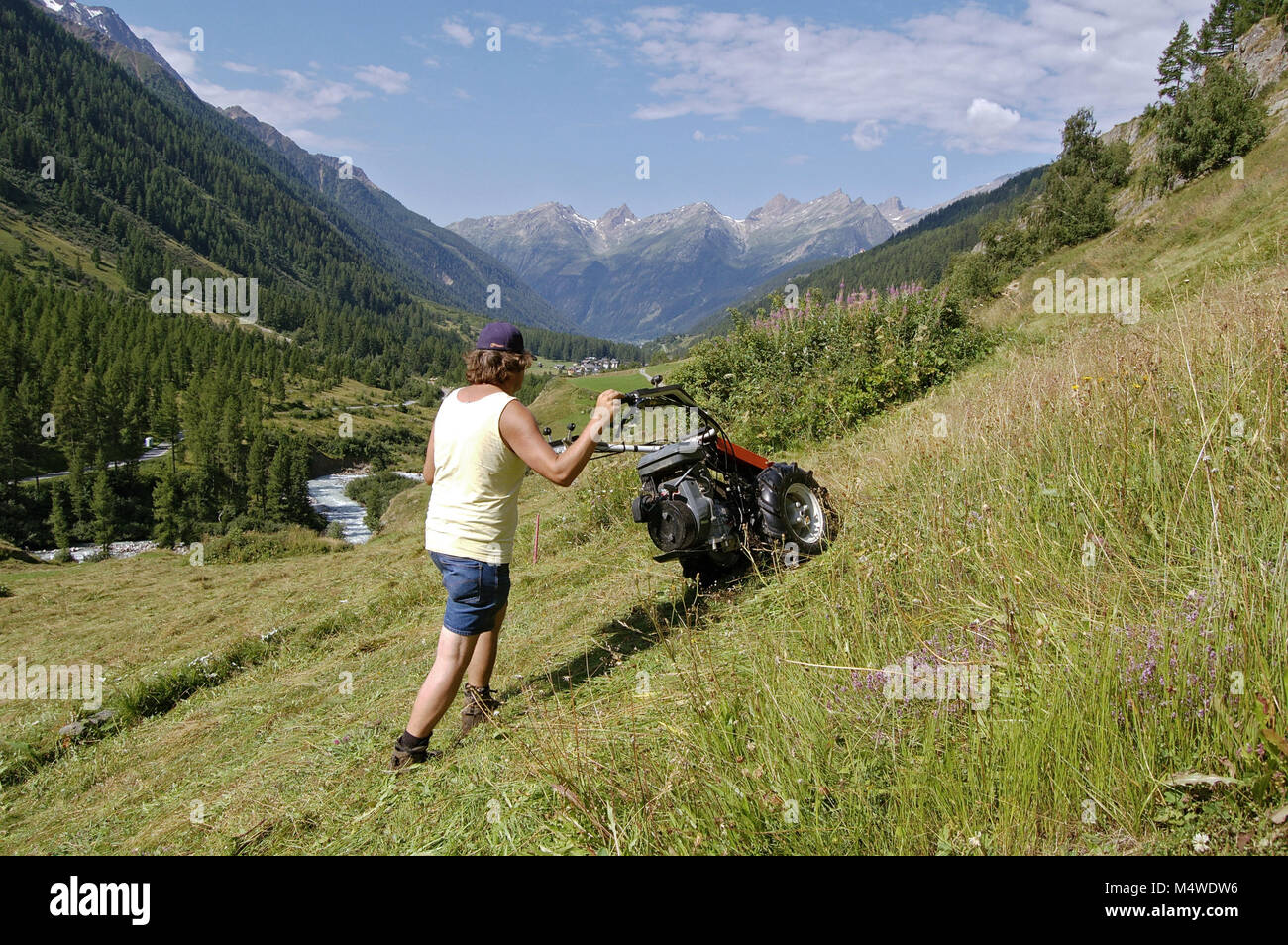 Alpine haying 5 Stock Photo - Alamy