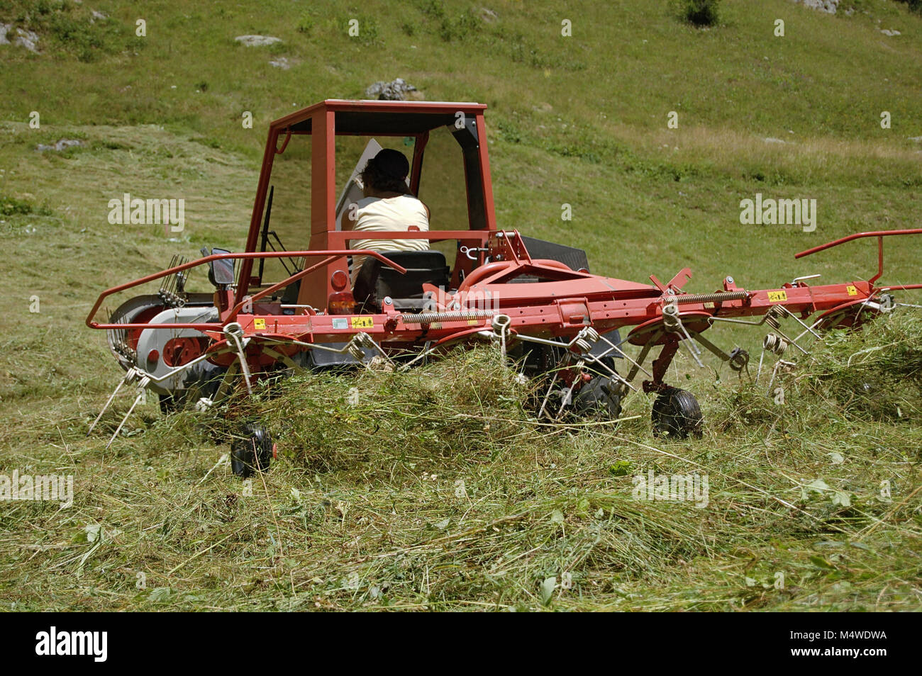 Alpine haying 8 Stock Photo - Alamy