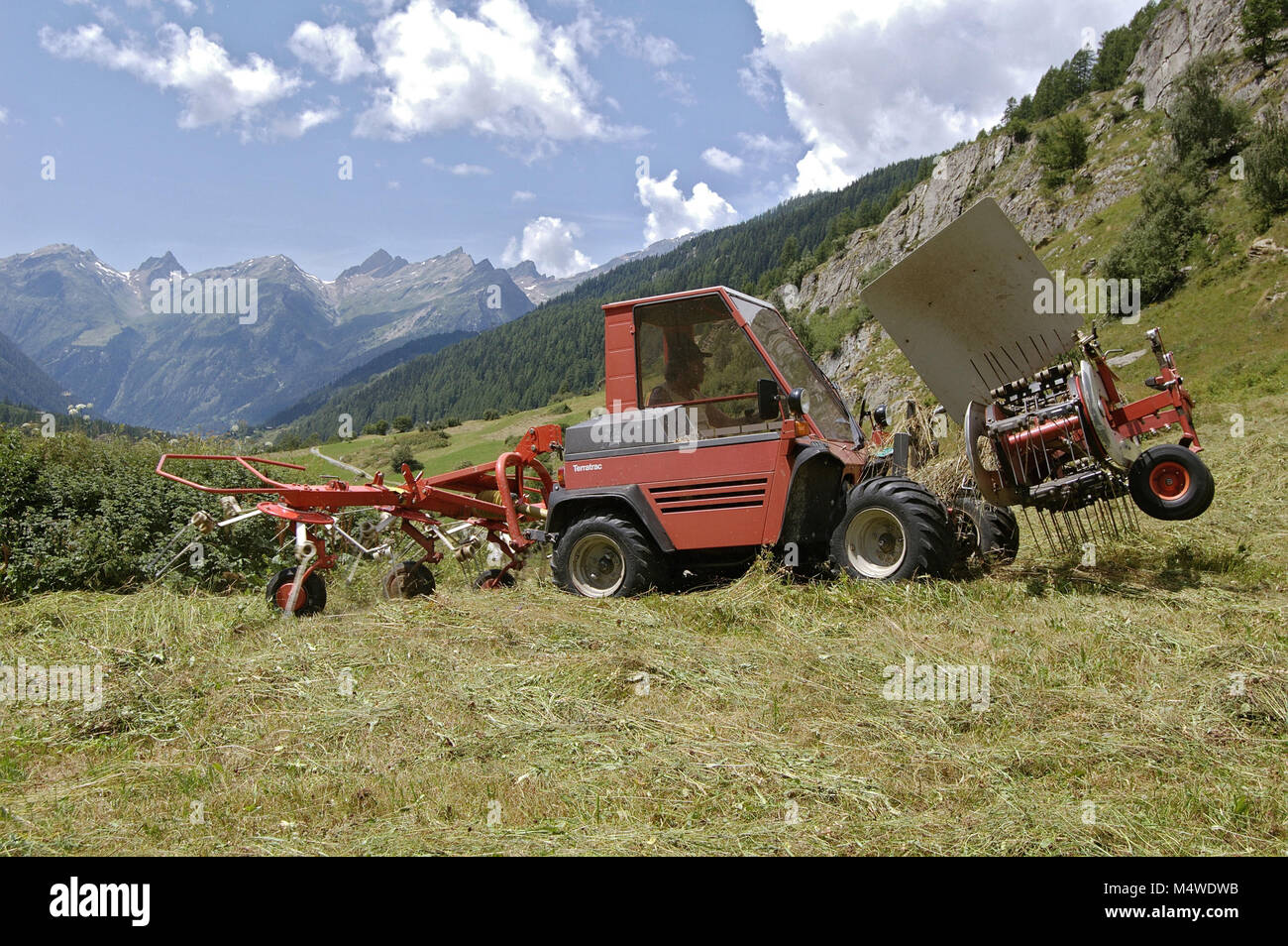Alpine haying 9 Stock Photo - Alamy