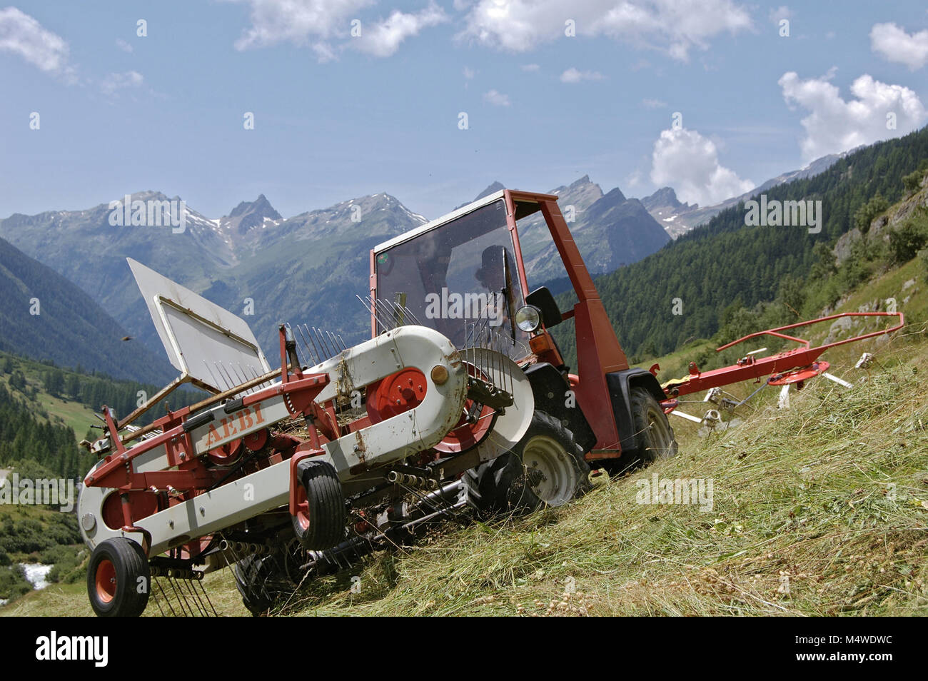 Alpine haying 10 Stock Photo - Alamy