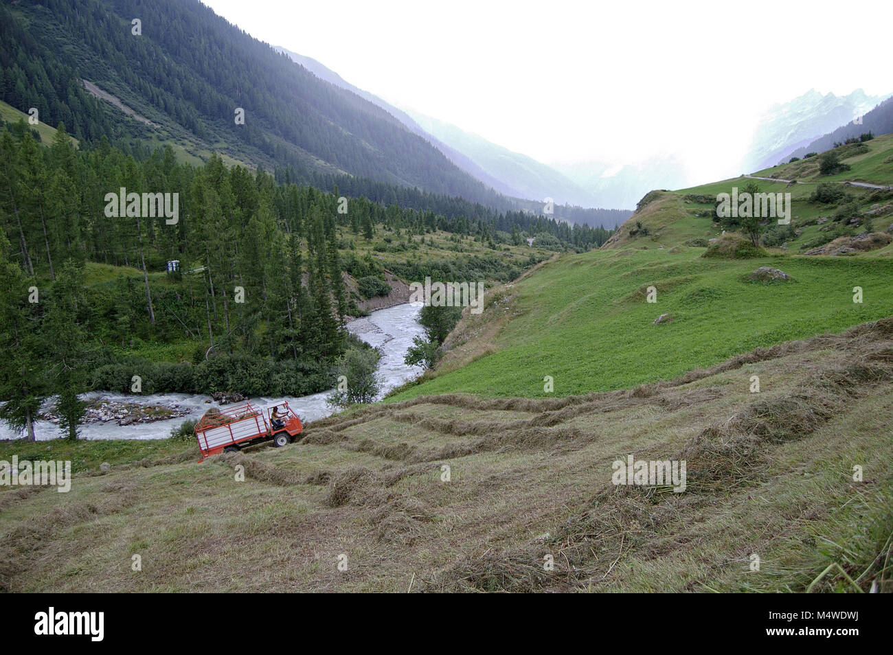 Alpine haying 19 Stock Photo - Alamy