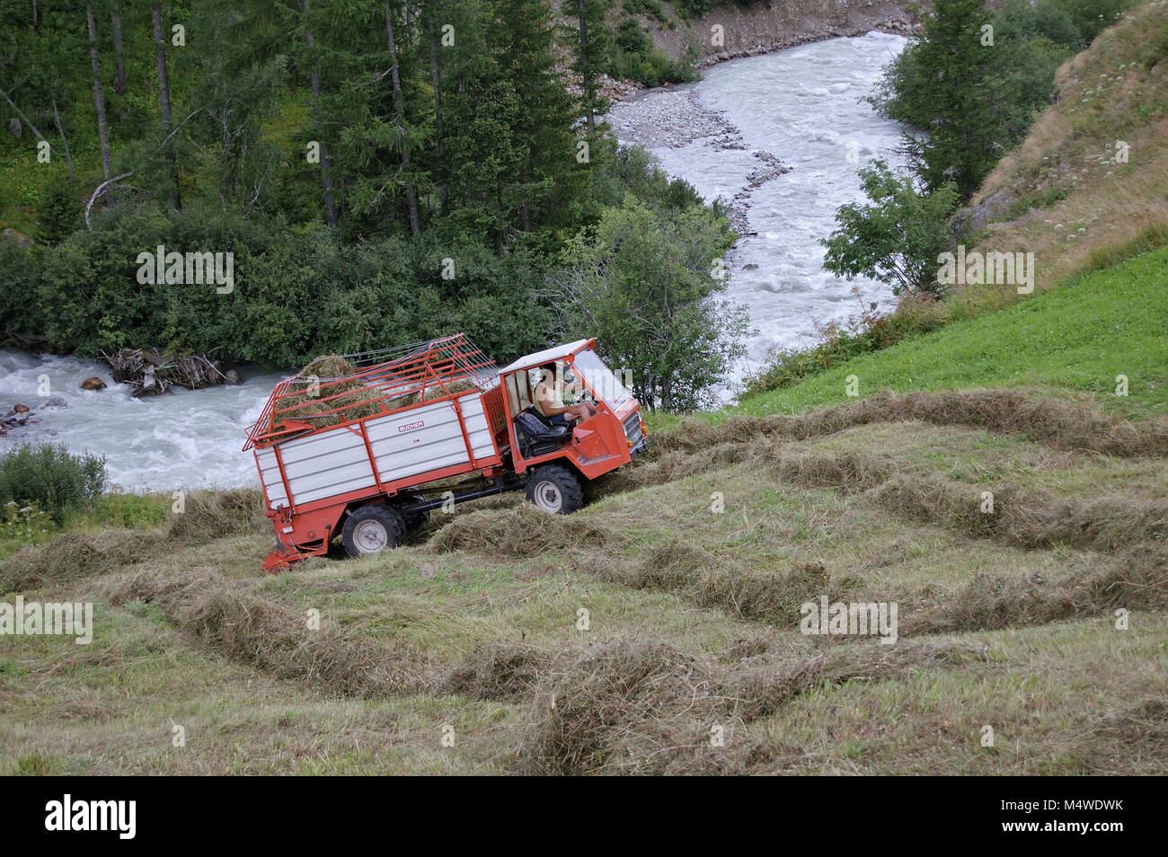 Alpine haying 20 Stock Photo - Alamy