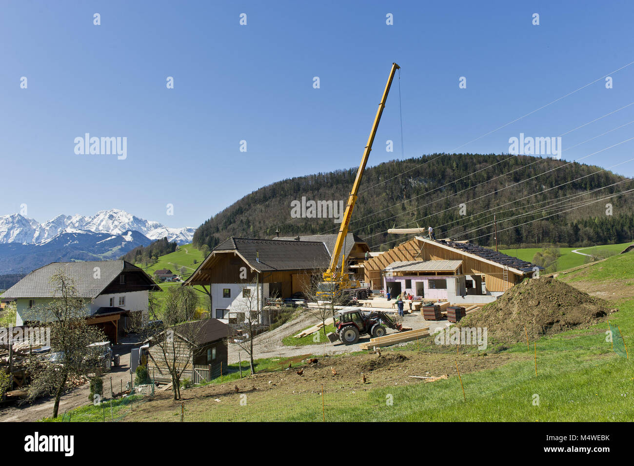 Cattle barn construction 1 Stock Photo - Alamy
