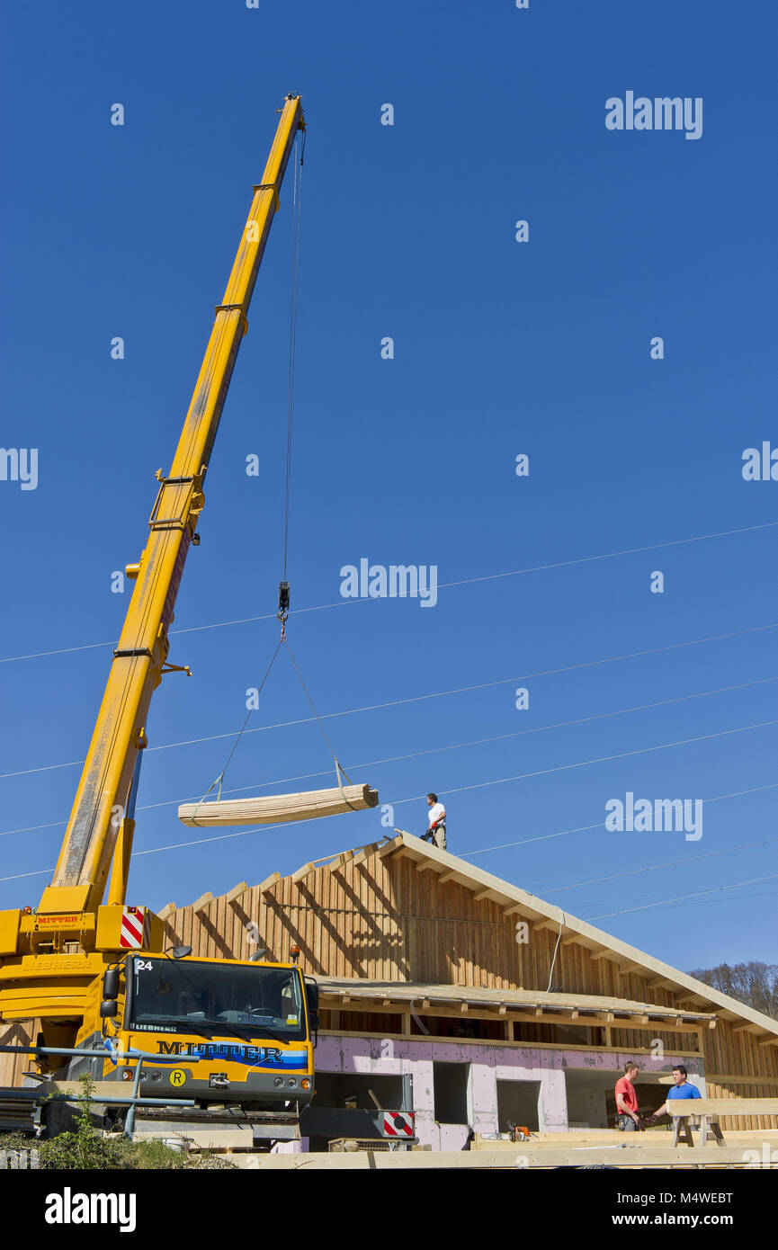 Cattle barn construction 5 Stock Photo - Alamy