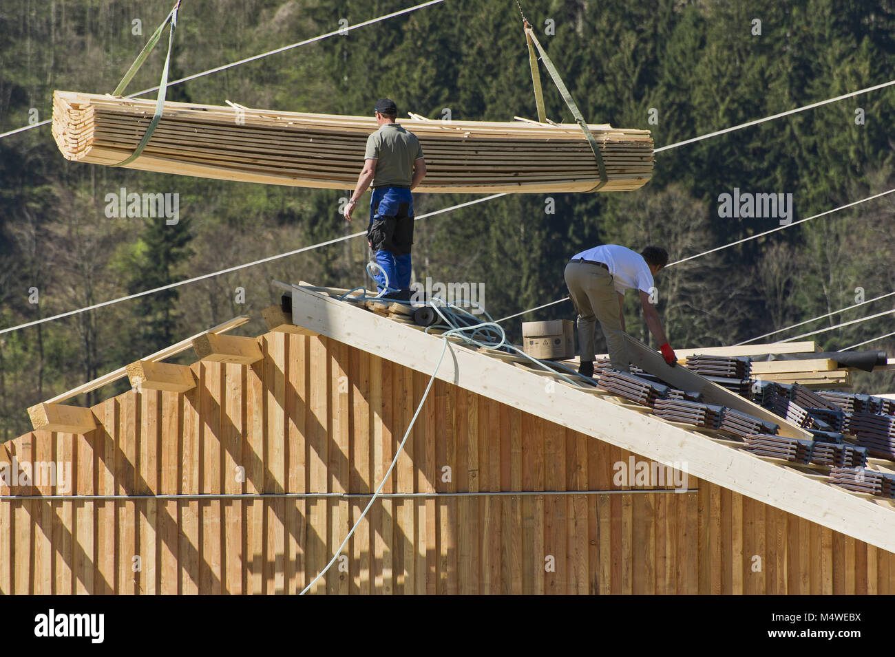 Cattle barn construction 10 Stock Photo - Alamy