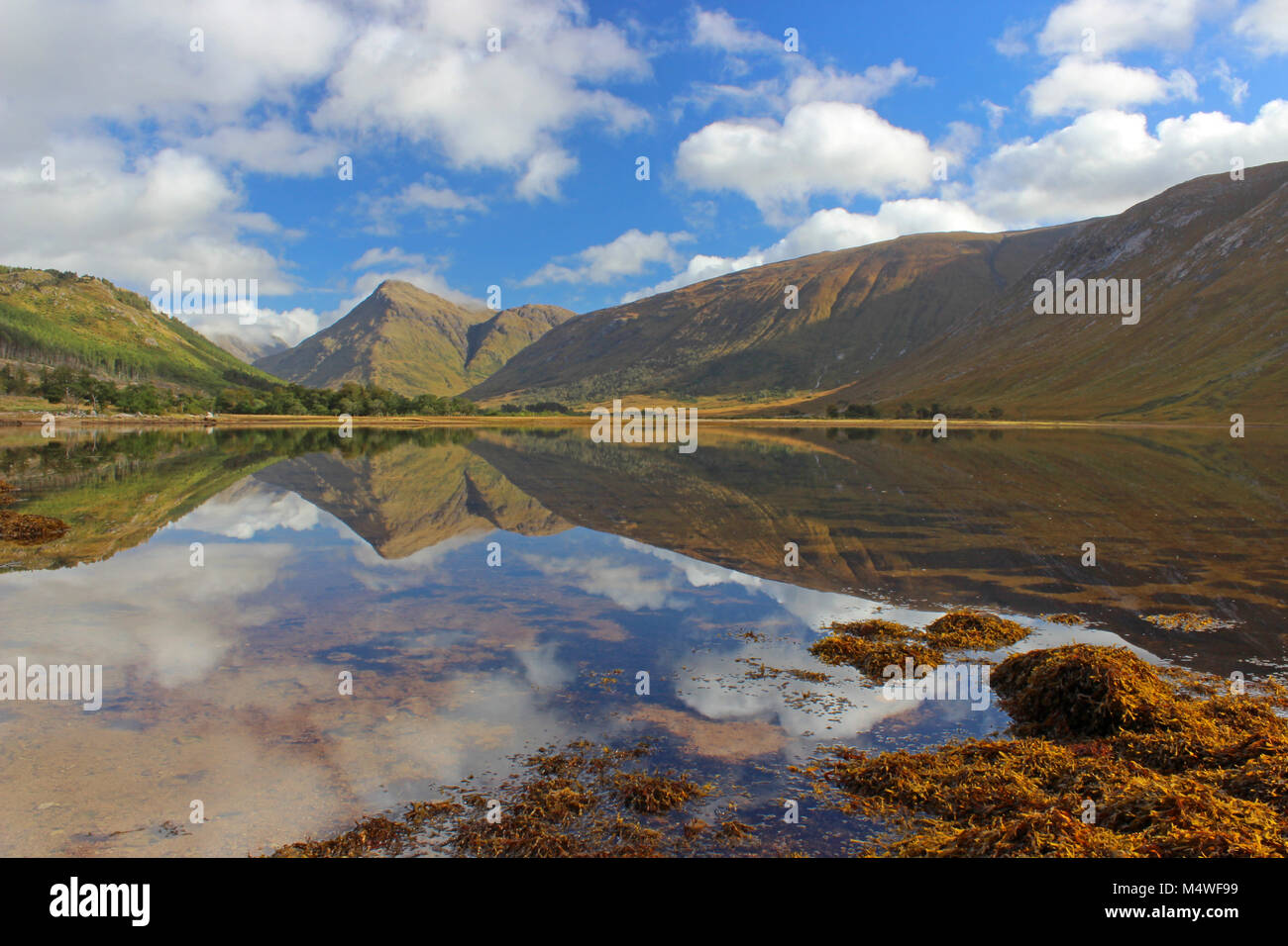 Mountain reflections in Loch Etive Stock Photo - Alamy