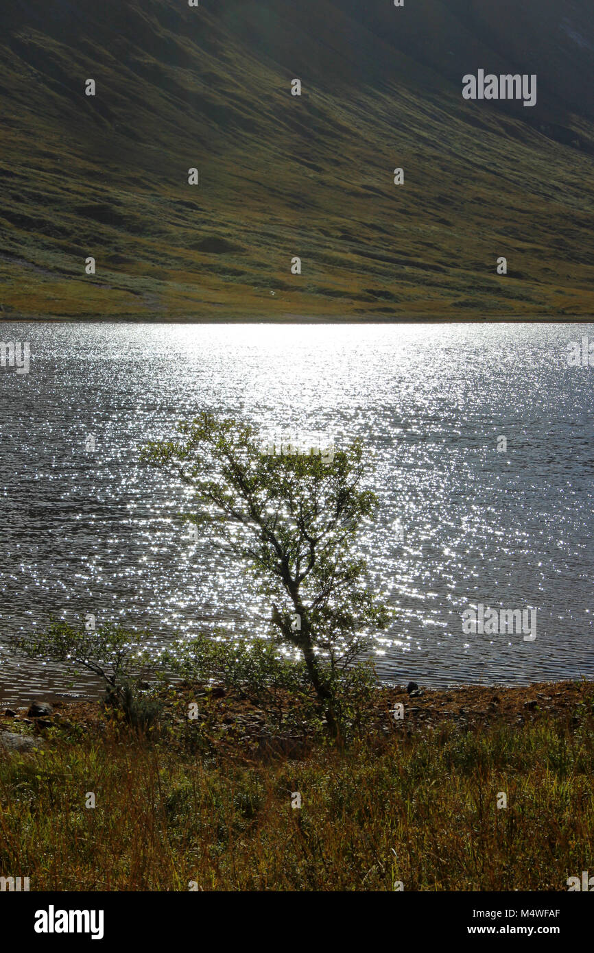 Loch etive shoreline hi-res stock photography and images - Alamy