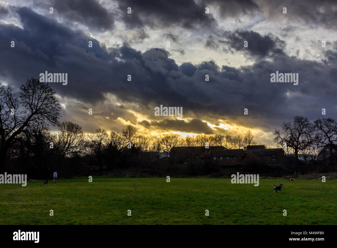 Ladywell park hi-res stock photography and images - Alamy