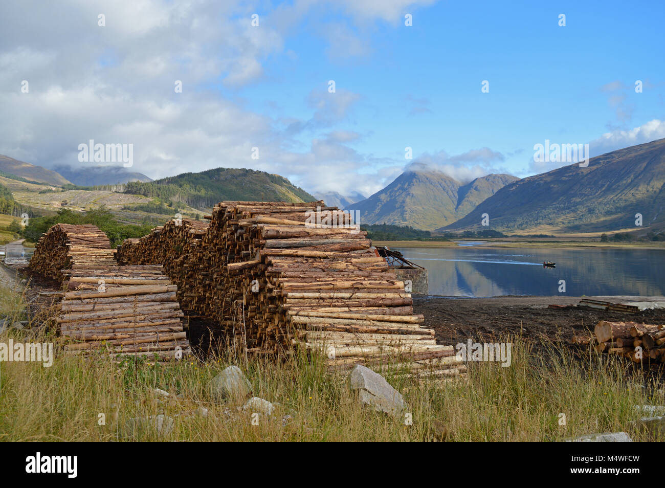 Stacks of logs at Loch Etive Stock Photo - Alamy
