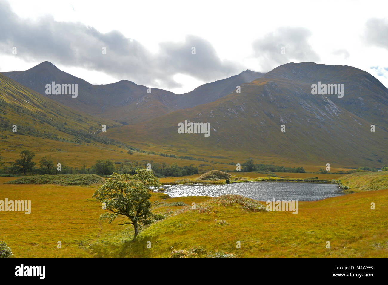 Loch etive panorama hi-res stock photography and images - Alamy