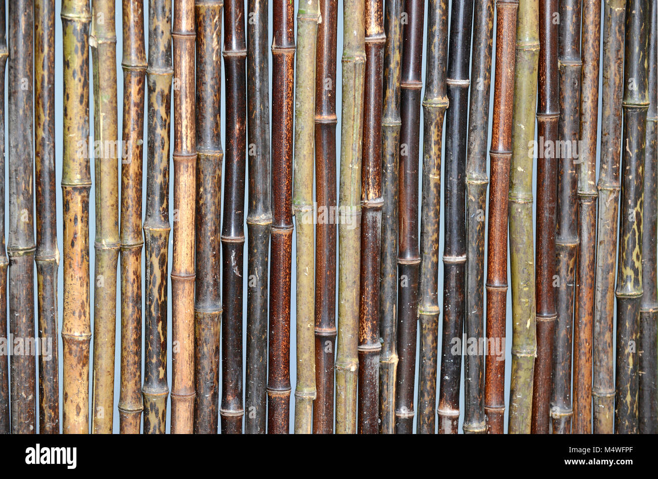 Bamboo rods background Stock Photo - Alamy