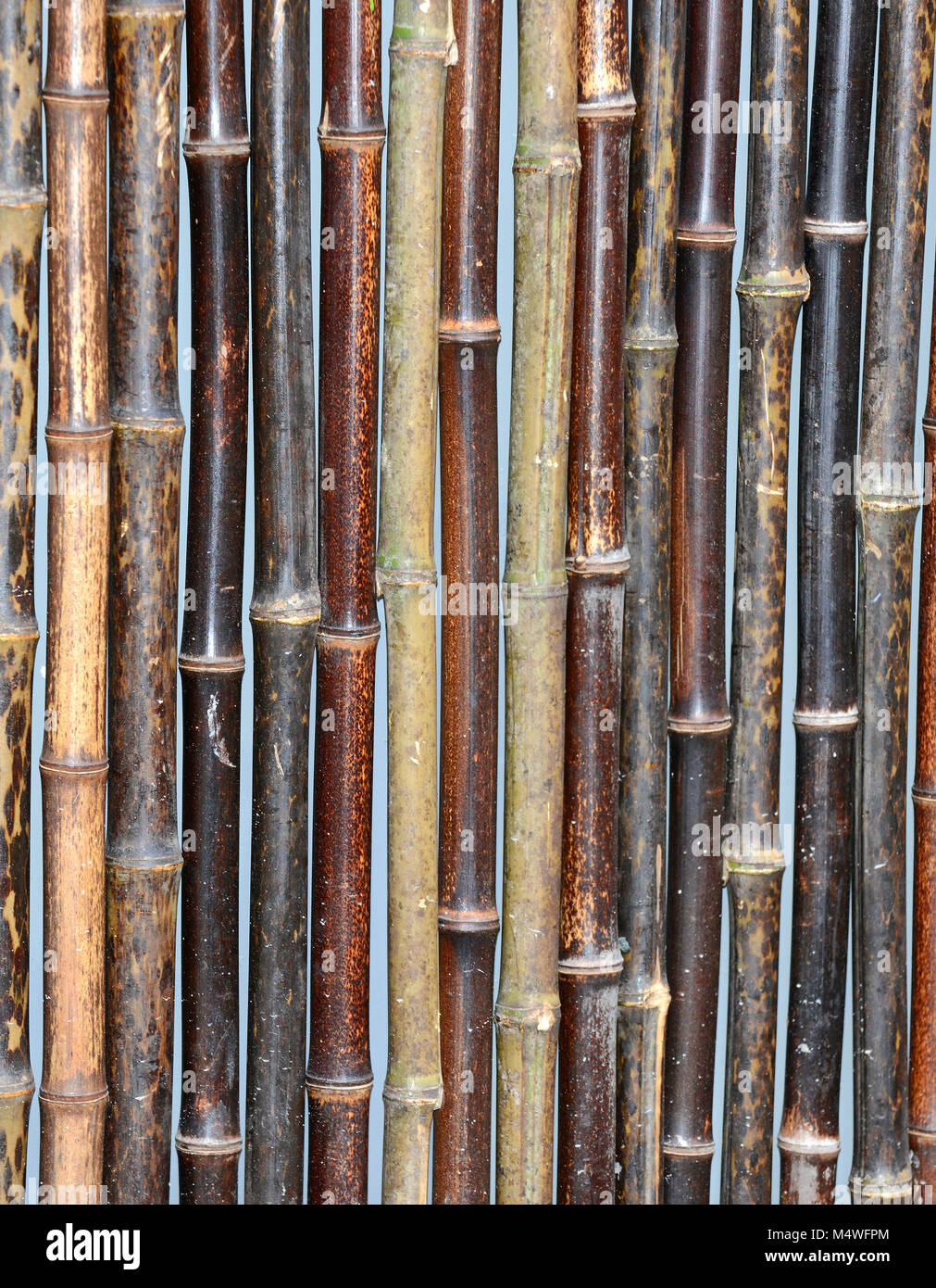Bamboo rods background Stock Photo - Alamy
