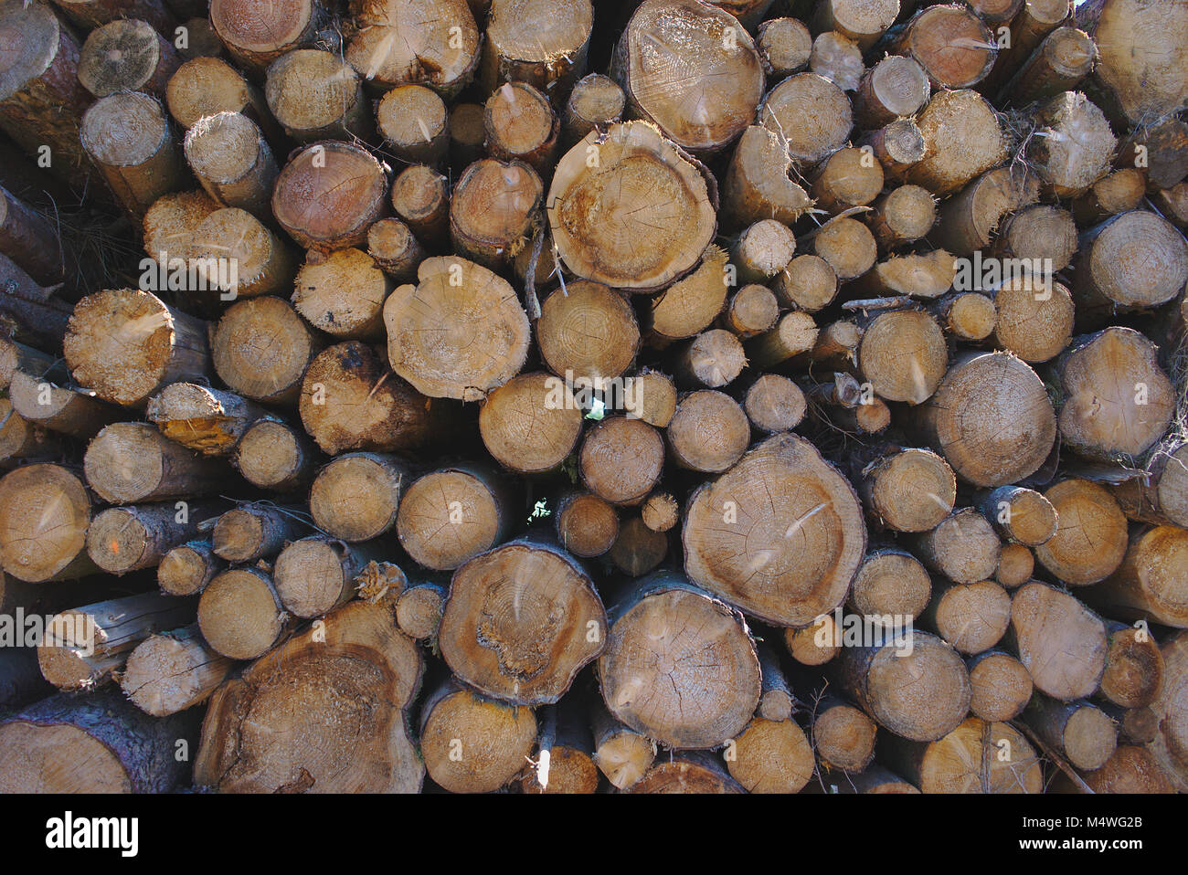 Different diameters hi-res stock photography and images - Alamy