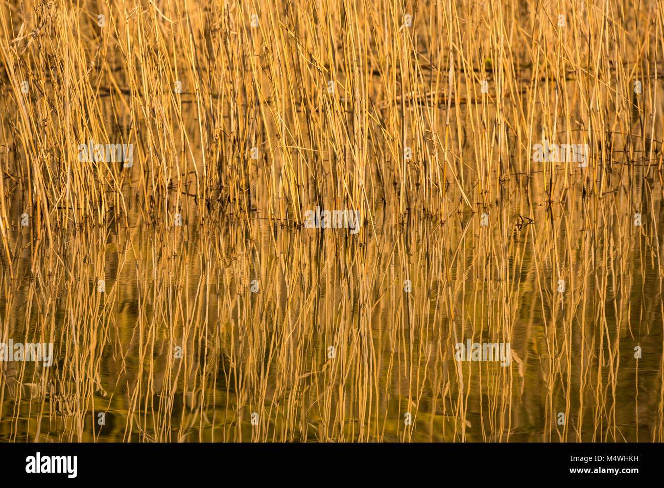 Water refelections hi-res stock photography and images - Alamy