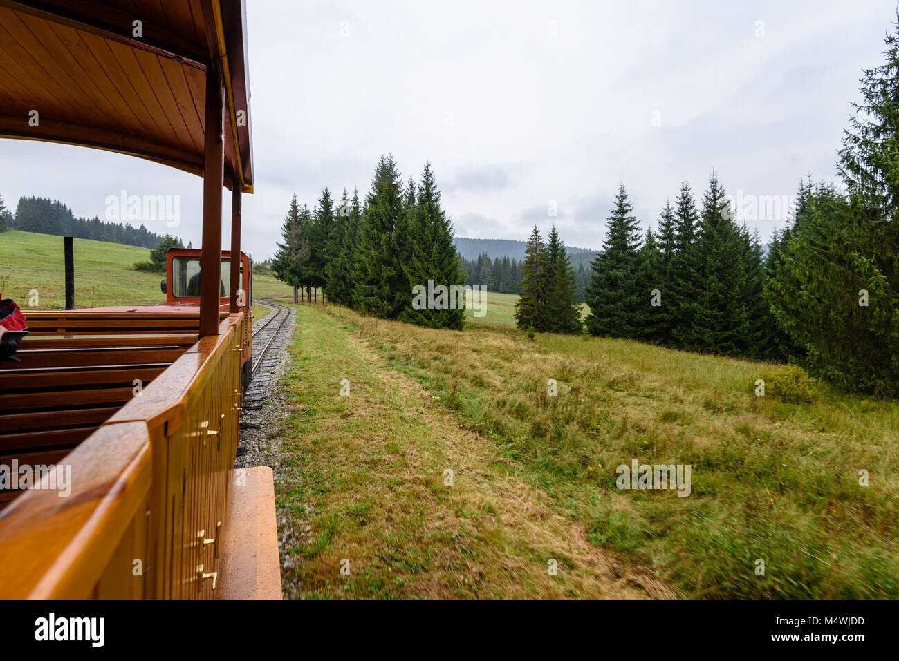 wavy railroad tracks in wet summer day in forest with vintage train ...